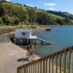 Electric Bike Rental - Who Will Love This Experience
