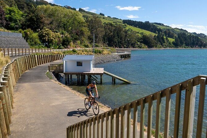 Electric Bike Rental - Who Will Love This Experience