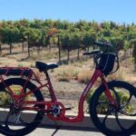 Electric Bike Rental in Livermore - Who Is This Tour Best For?