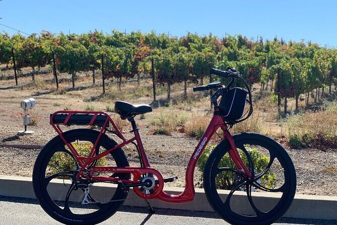 Electric Bike Rental in Livermore - Who Is This Tour Best For?