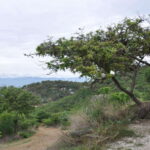 Electric Mountain bike in Oaxaca - Exploring the Itinerary