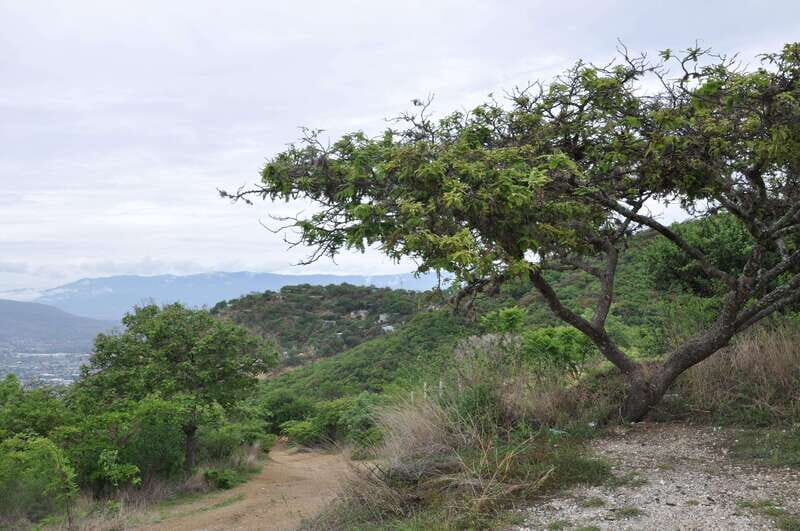 Electric Mountain bike in Oaxaca - Exploring the Itinerary