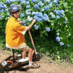 Electric Scooter&Bike Rental in Okinawa - The Sum Up: Is it right for you?