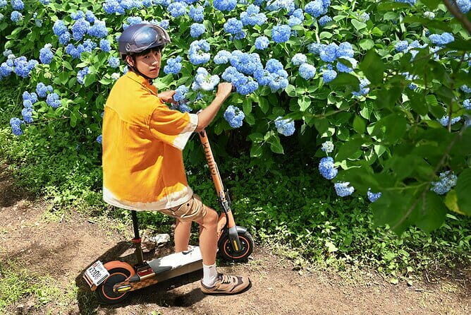 Electric Scooter&Bike Rental in Okinawa - The Sum Up: Is it right for you?