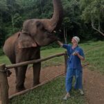 Elephant care program at Chiangmai Elephant Care - Final Thoughts: A Compassionate Way to Witness Elephants
