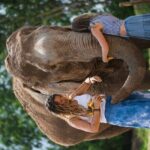 Elephant Jungle Sanctuary: Half Day Afternoon Program - The Itinerary Breakdown
