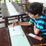 Elephant PooPoo Paper Park & Sticky Waterfall - Authentic Experiences and Real Traveler Feedback