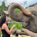 Elephant Sanctuary Cambodia, Pickup and drop off included - Practical Details and Logistics