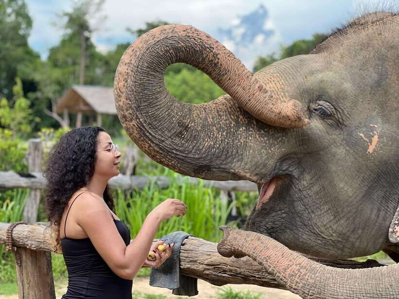 Elephant Sanctuary Cambodia, Pickup and drop off included - Practical Details and Logistics
