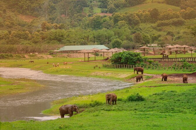 Elephant Sanctuary + Waterfall + Bamboo Rafting One Day Trip - The Logistics and What You Can Expect