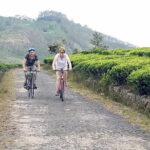 Ella Cycling Tour - Who Is This Tour Best For?