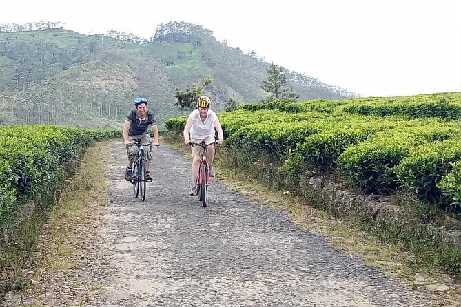 Ella Cycling Tour - Who Is This Tour Best For?