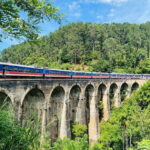 Ella Day Tour from Kandy with tea factory - Practical Aspects and Value