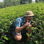 Ella Day Tour: with Tea Factory Visit From Colombo/ Negombo - What Makes This Tour Stand Out?
