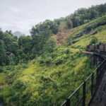 Ella Day Tour: with Tea Factory Visit from Galle - Is it Worth the Price?