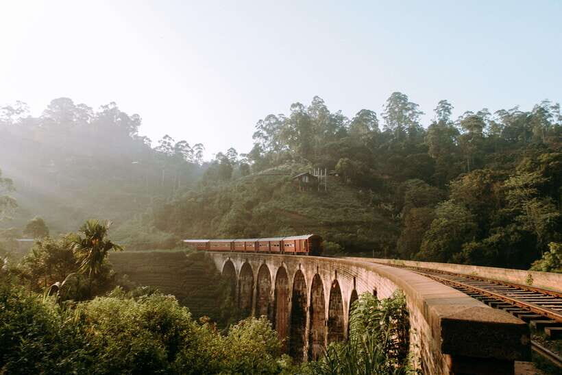 Ella Day Trip: with Little Adam's Peak Hike From Colombo - An In-Depth Look at the Tour Experience