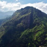 Ella: Tea Factory, Train, and Nine Arch Day Tour with Pickup - A Well-Paced, Long but Varied Day