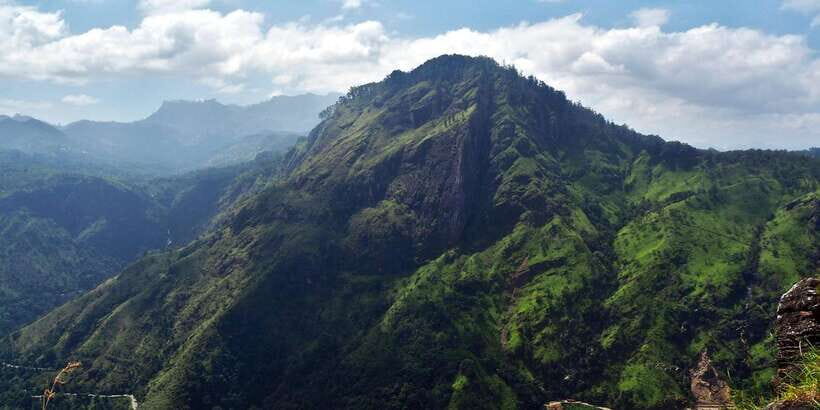 Ella: Tea Factory, Train, and Nine Arch Day Tour with Pickup - A Well-Paced, Long but Varied Day