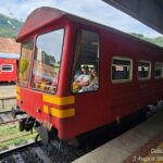 Ella Train Trip & Udawalawa Private Day Tour Bentota/Kosgoda - Transportation & Comfort