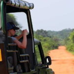 Ella: Transfer to Tangalle/Mirissa/Galle & Yala/Udawalawe Safari - Practical Considerations