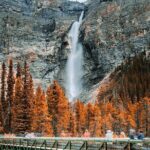 Emerald Lake,Natural Bridge, Wapta Falls & Takakkaw Falls in Yoho - What to Expect from the Tour: A Detailed Breakdown