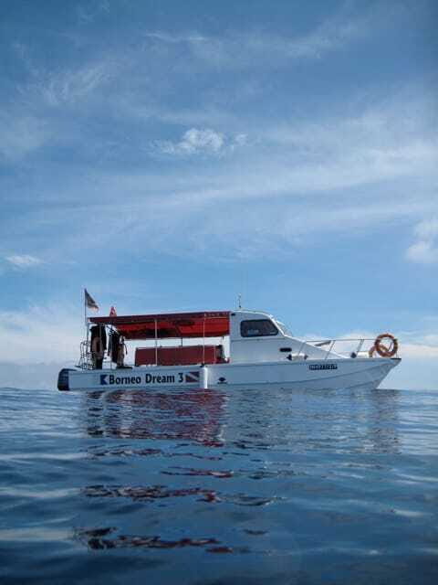 Enjoy 3 Fun Dives in Kota Kinabalu | Certified Divers - The Setup: What to Expect from the Tour