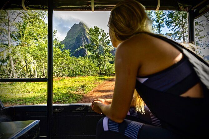 Enjoy Moorea Private day tour - The Itinerary: What You Can Expect