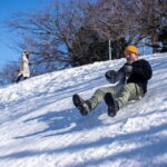 Enjoy Sapporo Snow Like a Local: Sled Build & Park Fun - Practical Insights and What to Expect