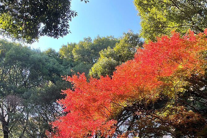 "Enjoy Tokyo Tour" Harajuku Meiji-jingu & Delicious Sake Tasting - What’s Included and How It Works
