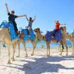 ENJOY UNIQUE CAMEL RIDE in Puerto Morelos with Transportation - Unpacking the Experience