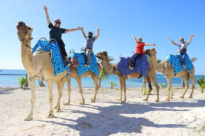 ENJOY UNIQUE CAMEL RIDE in Puerto Morelos with Transportation - Unpacking the Experience