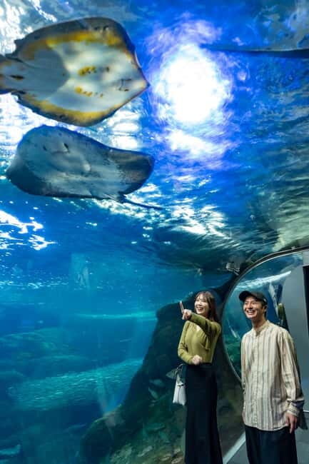Enoshima Aquarium: Admission Ticket - The Whole Experience: What You Will Love