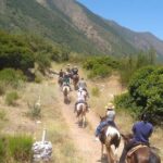 Ensenada: Bajas Hidden Trails: Horseback Ride w/ Ocean View - Authentic Baja Atmosphere