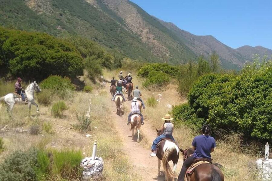 Ensenada: Bajas Hidden Trails: Horseback Ride w/ Ocean View - Authentic Baja Atmosphere
