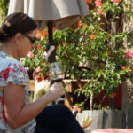 Ensenada: Guadalupe Valley Wine Route Private Tour - Value and Practicality