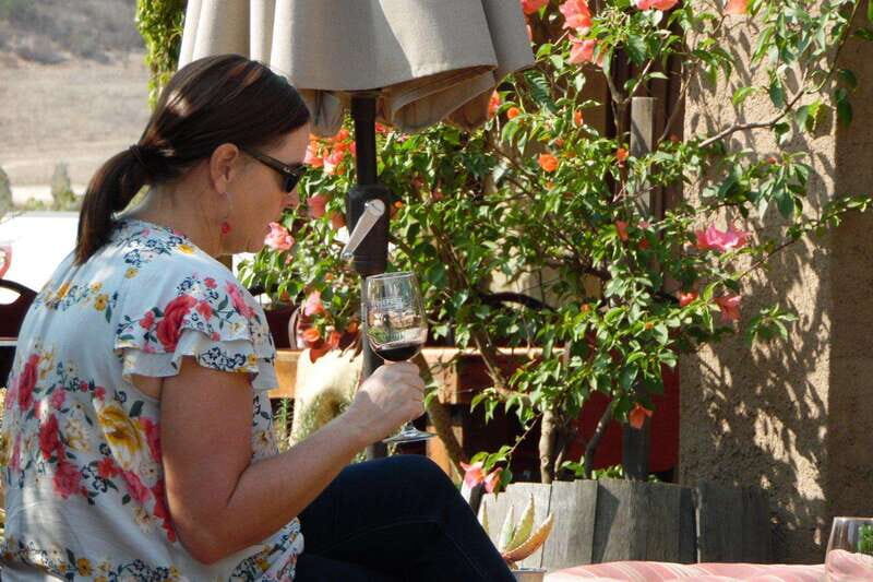 Ensenada: Guadalupe Valley Wine Route Private Tour - Value and Practicality