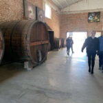 Ensenada: Guided City Highlights Tour with Margarita Tasting - Final Thoughts: Is This Tour Right for You?