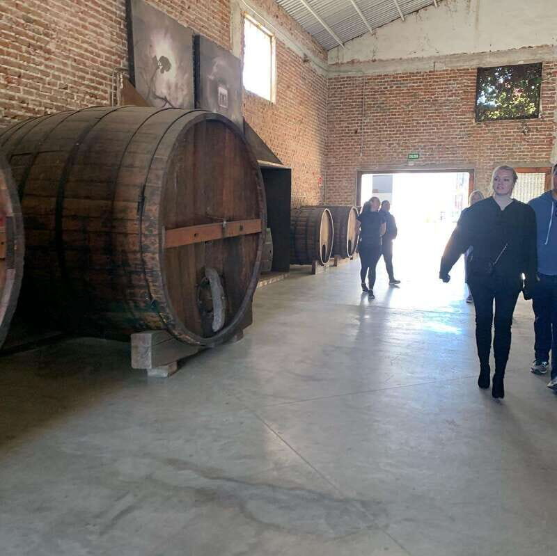 Ensenada: Guided City Highlights Tour with Margarita Tasting - Final Thoughts: Is This Tour Right for You?