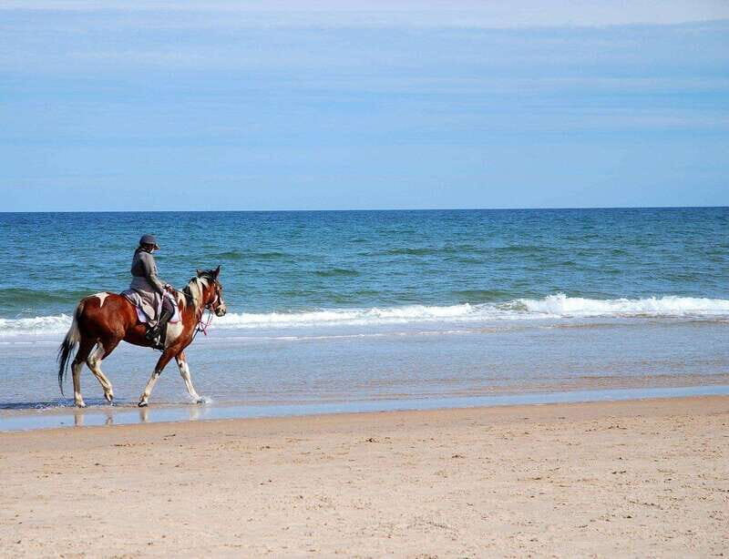 Ensenada: Horseback riding in the beach - What’s Included & Pricing