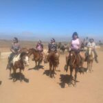 Ensenada: La Bufadora and Playa Hermosa Horseback Riding - Who Is This Tour Best For?