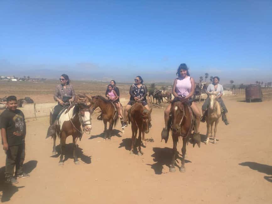 Ensenada: La Bufadora and Playa Hermosa Horseback Riding - Who Is This Tour Best For?