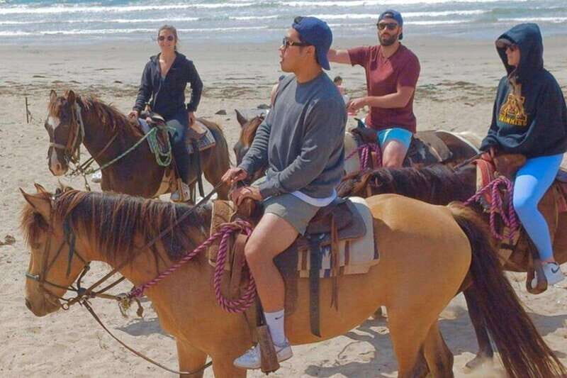 Ensenada: La Bufadora & Beach Horseback Riding Adventure - Why We Like This Tour: Highlights & Practical Benefits