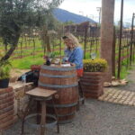 Ensenada: Ojos Negros Valley Cheese and Wine Tasting Tour - Authenticity and Value