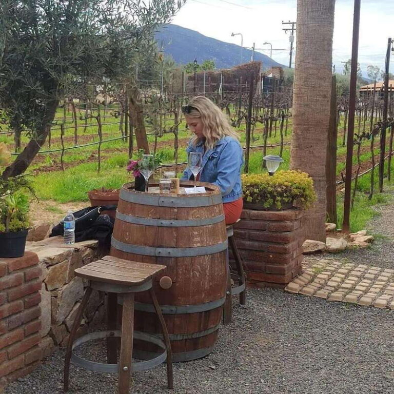 Ensenada: Ojos Negros Valley Cheese and Wine Tasting Tour - Authenticity and Value