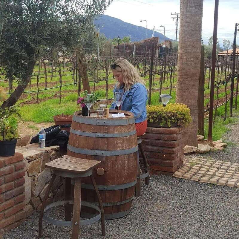 Ensenada: Ojos Negros Valley Cheese and Wine Tasting Tour - Authenticity and Value