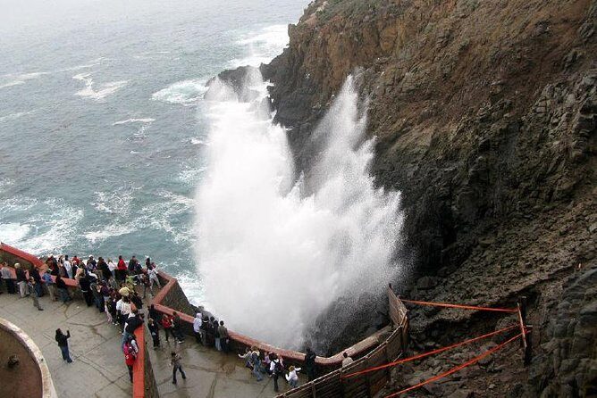 Ensenada Shore Excursion: Blowhole and La Bufadora Tour with Horseback Riding - The Sum Up