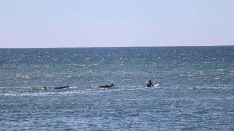 Ensenada: Surf Lessons at Playa Hermosa - Practical Tips for Your Surf Lesson