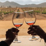 Ensenada: Valle de Guadalupe Wine Tasting Tour - Price, Duration, and Value