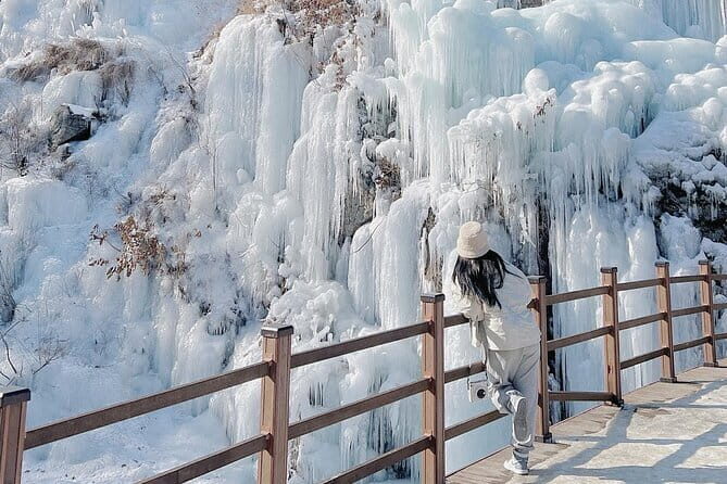Eobi Ice Valley Nami Island and Alpaca World Tour from Seoul - What Sets This Tour Apart