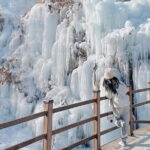 Eobi Ice Valley, Nami Island, Morning Calm and Rail Bike Seoul - Practical Details and Value